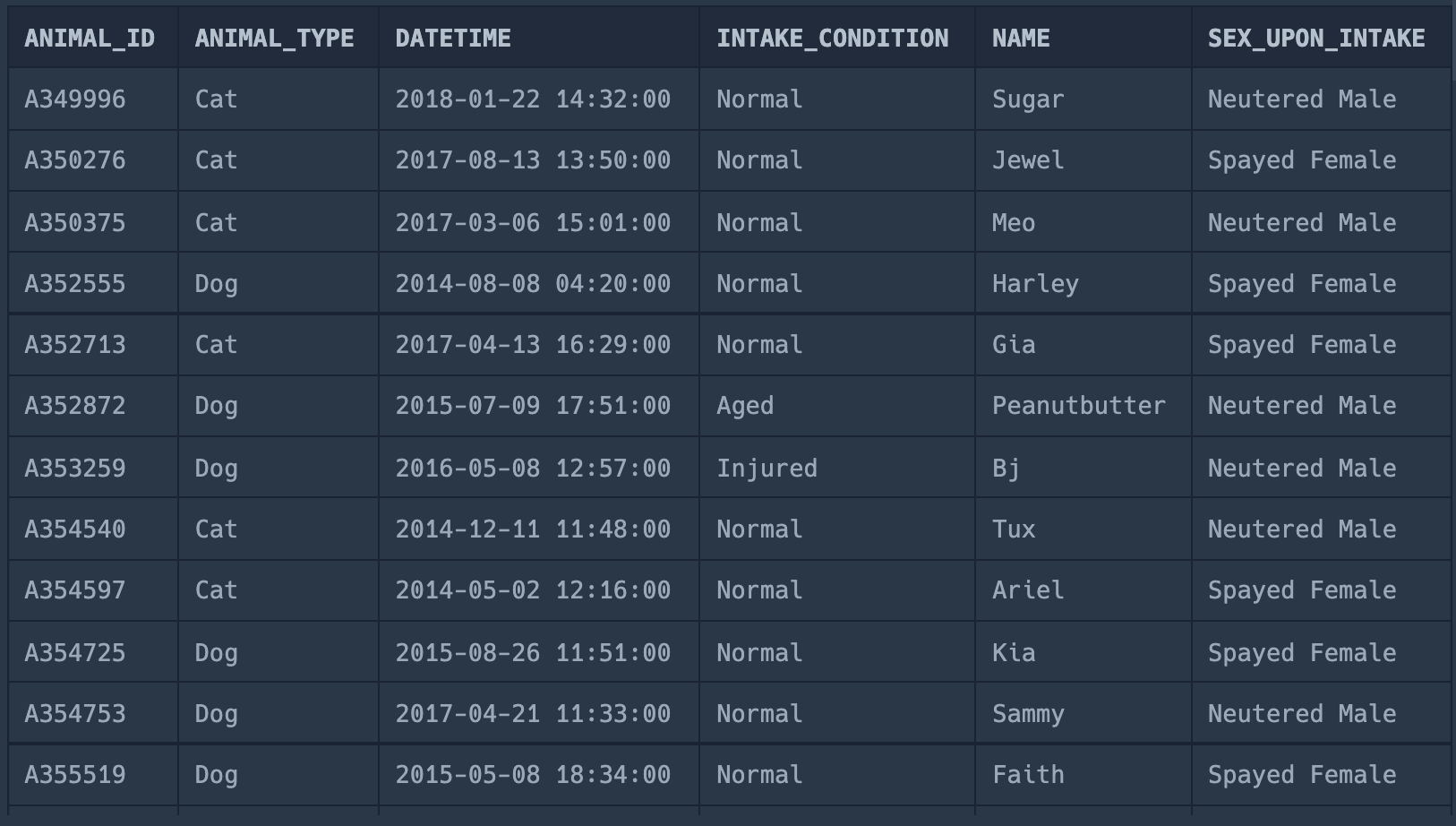 [SQL] SELECT 〉 Lv1. 모든 레코드 조회하기
